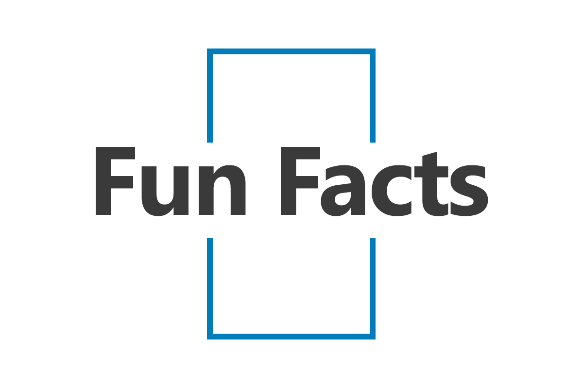 Fun Facts 30 Kuriose Informationen ber Unsere Welt